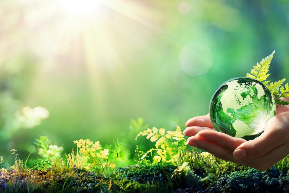 Why Religious Naturalism - Religious Naturalism