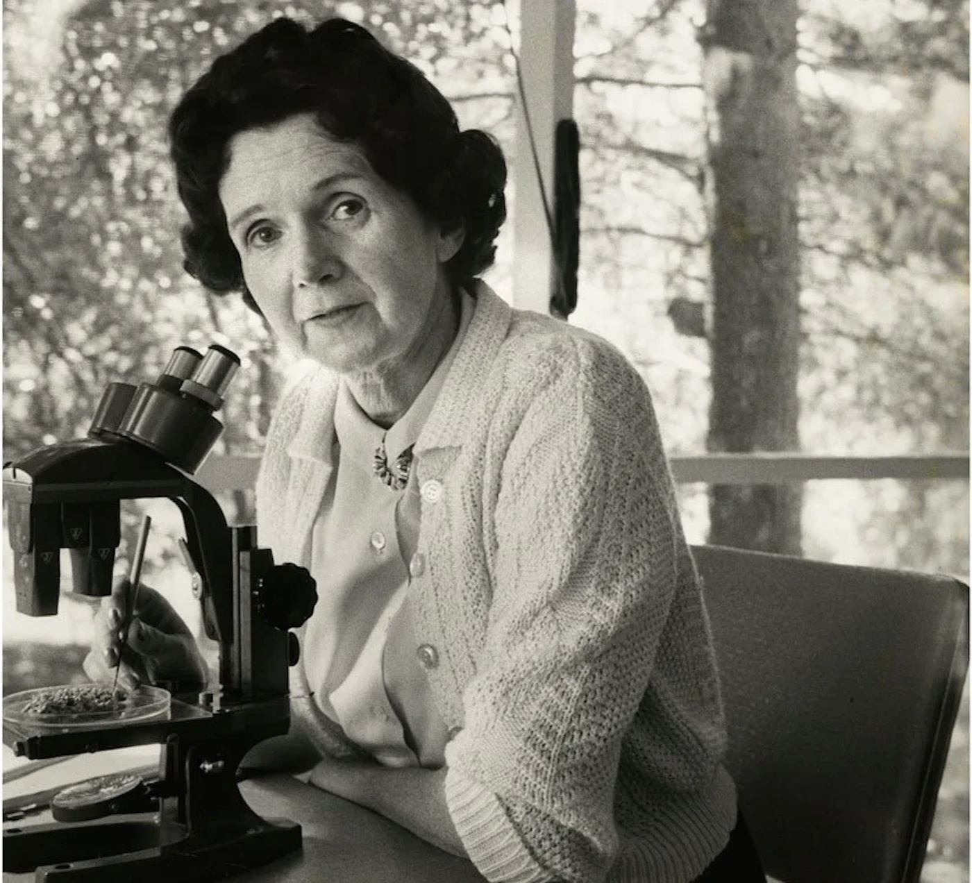 RACHEL CARSON - Religious Naturalism